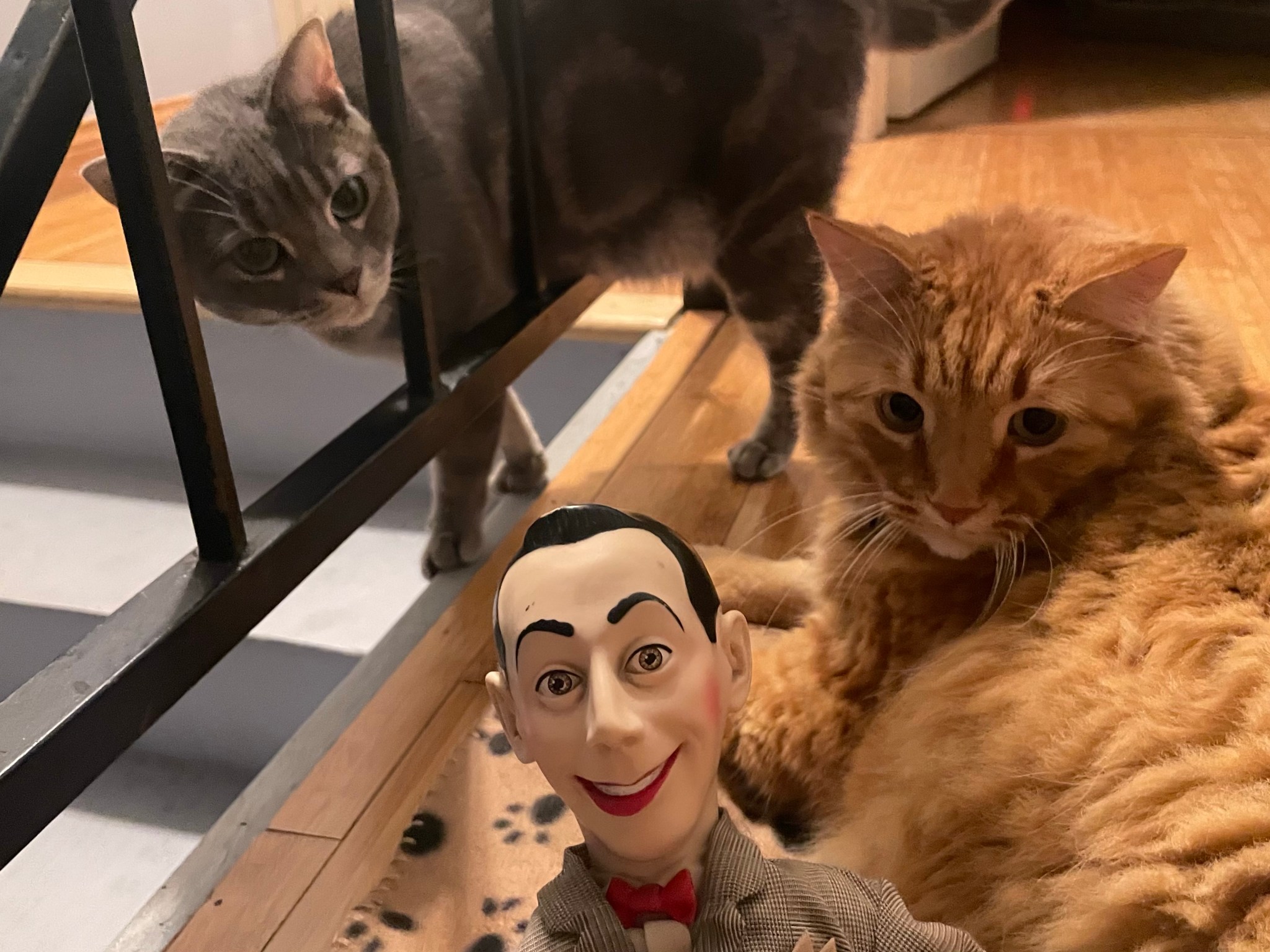 Mapping Pee-Wee Herman in Los Angeles (and Beyond) on the Anniversary ...